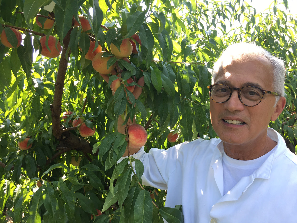 Great Gifts under $100 – DiCamillo Bakery